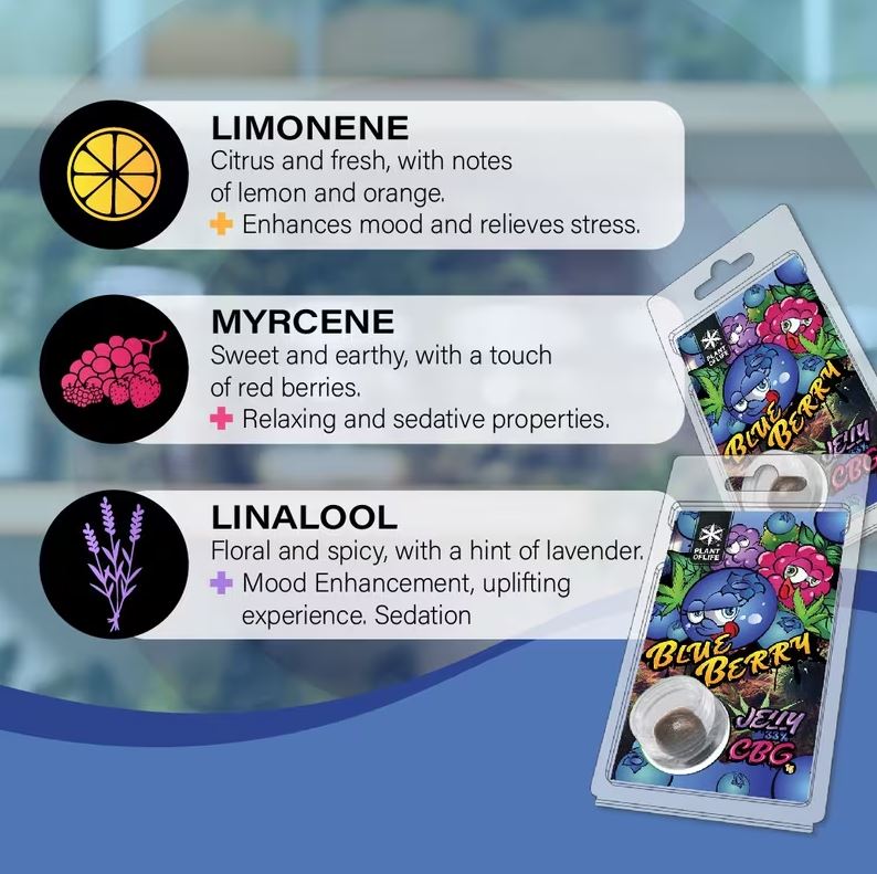 Plant of Life CBG Jelly 33% Blue Berry • Buy | Puff Puff Palace